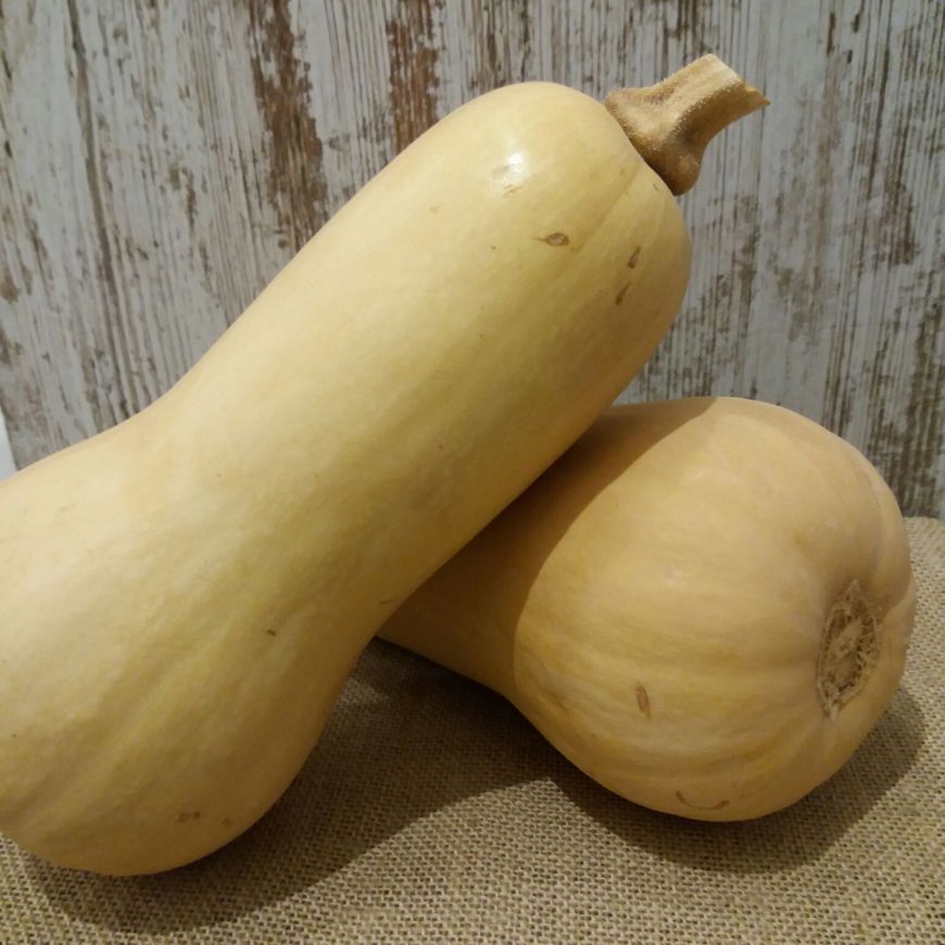 Comprar Calabaza Butternut Ecológica. Verduras en Natural Gourmet.