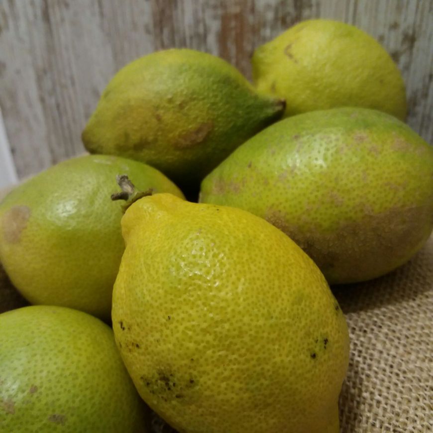Limón Ecológico (500gr) en Natural Gourmet. Origen España