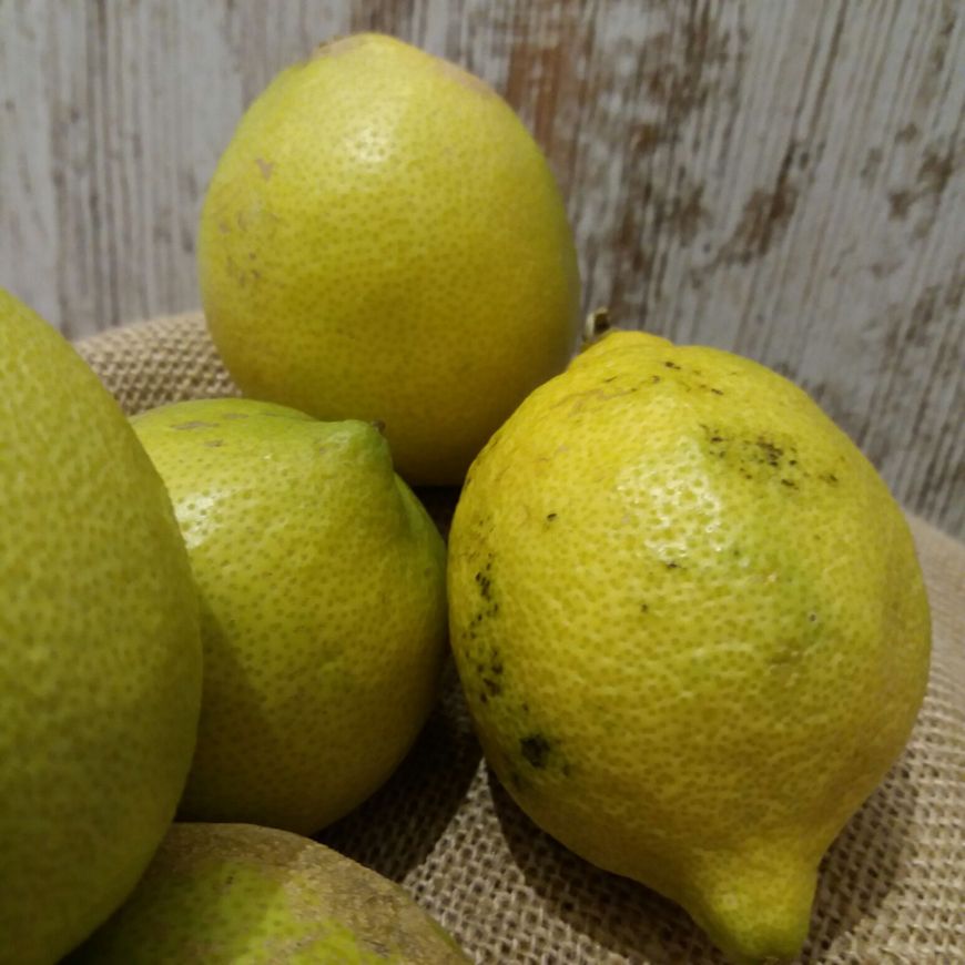 Limón Ecológico (500gr) en Natural Gourmet. Origen España