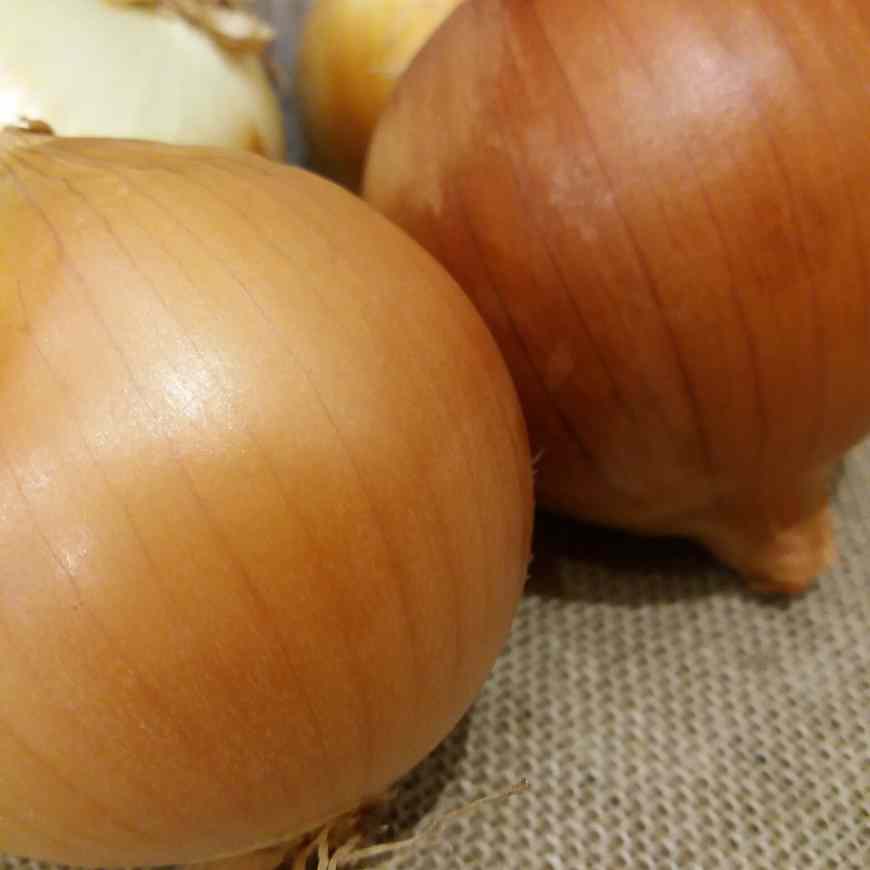 Cebolla Marrón Ecológica Nueva en Natural Gourmet. Origen España.